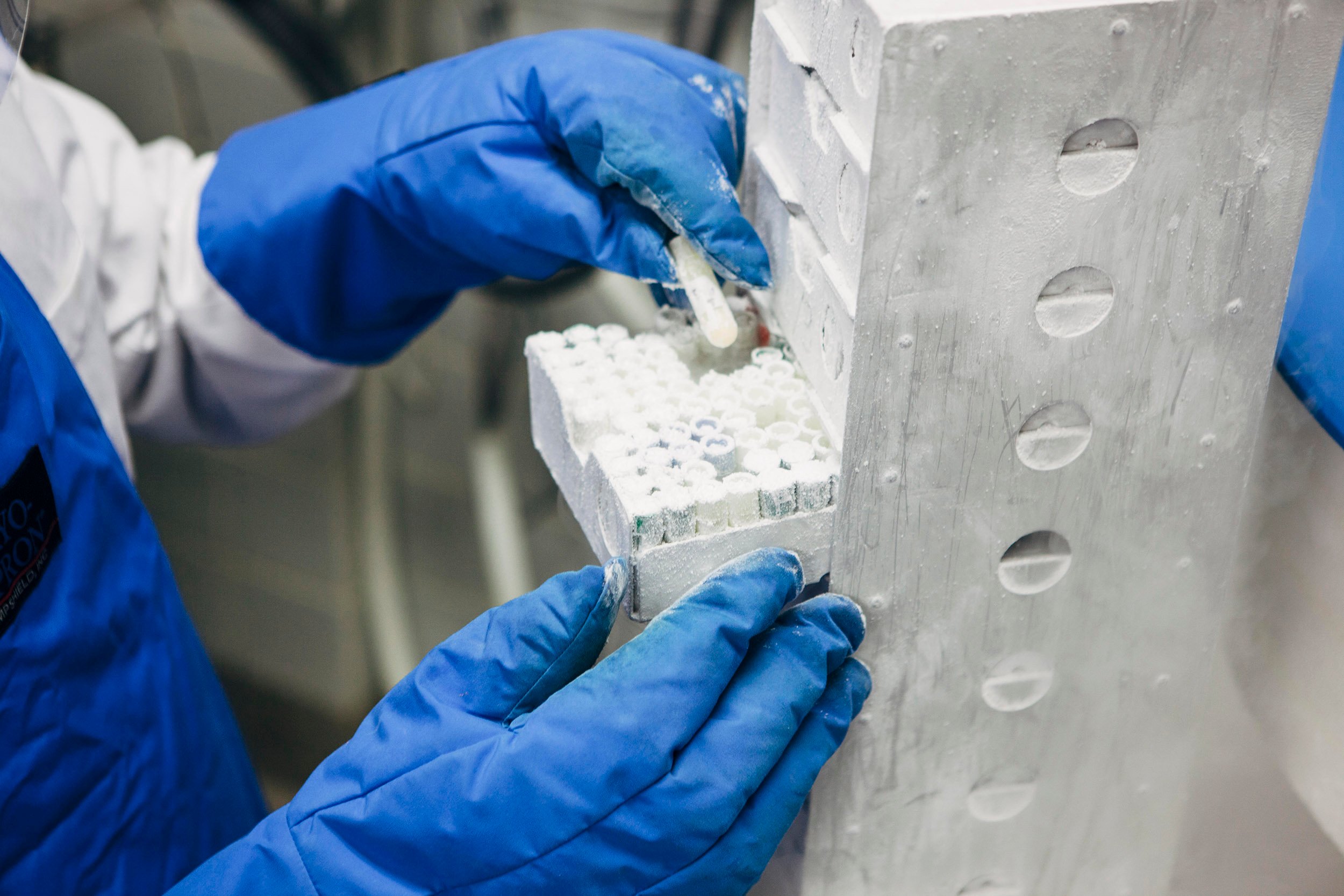 Cell Line Management