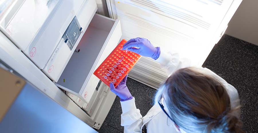 Mosaic Application Areas