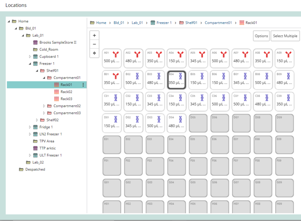 Developing the Lab of the Future through workflow automation and ...