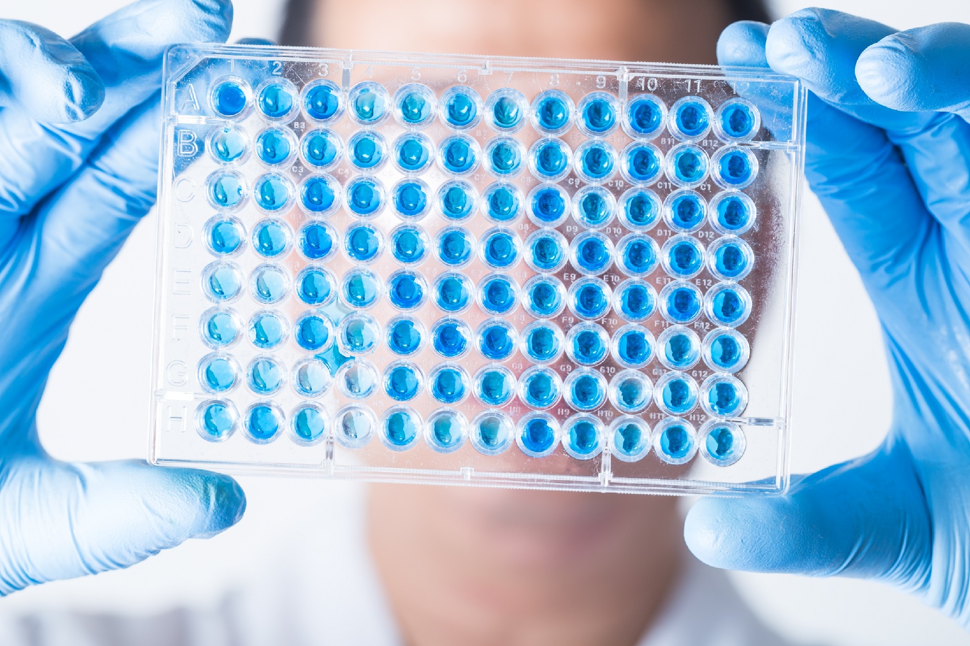 Mosaic Application Areas